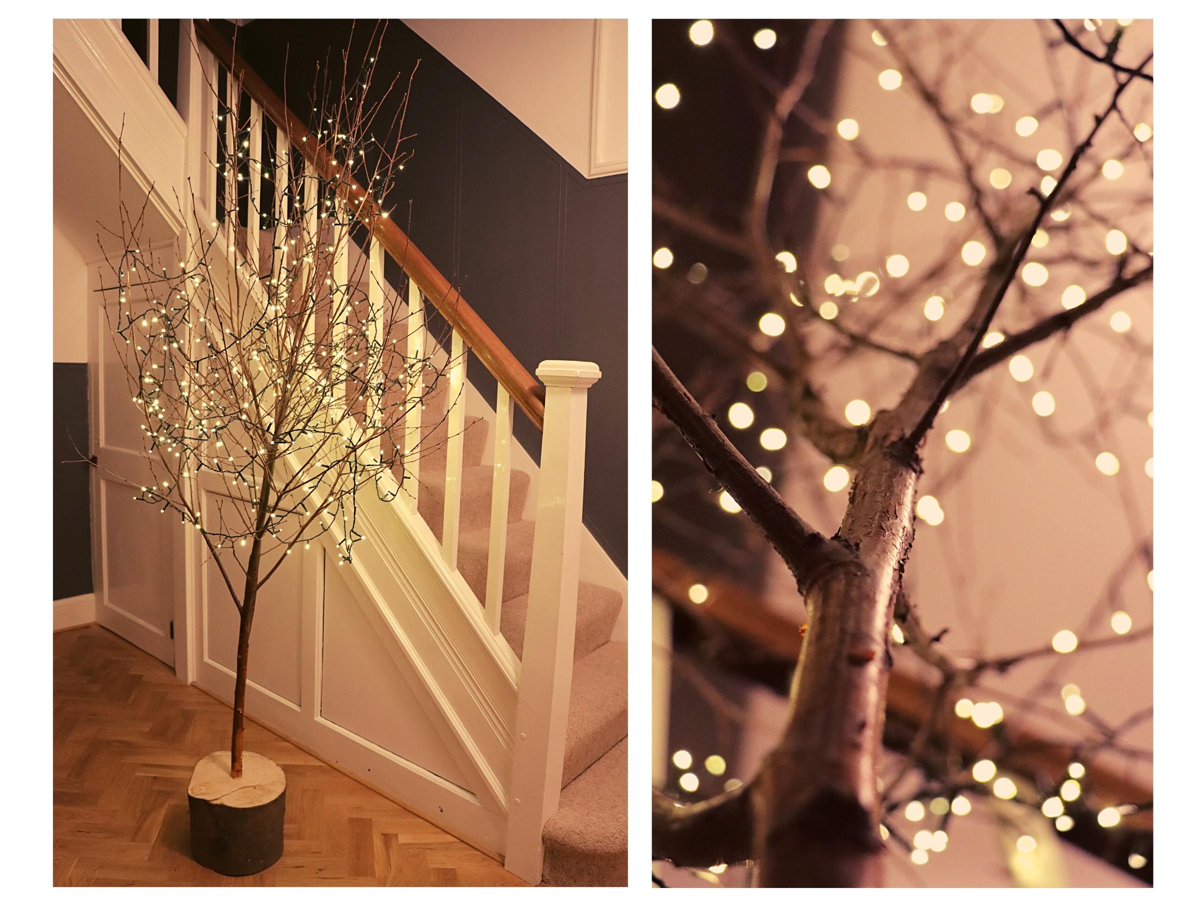 Get your locally sourced, sustainable Christmas tree. – Steel Valley ...